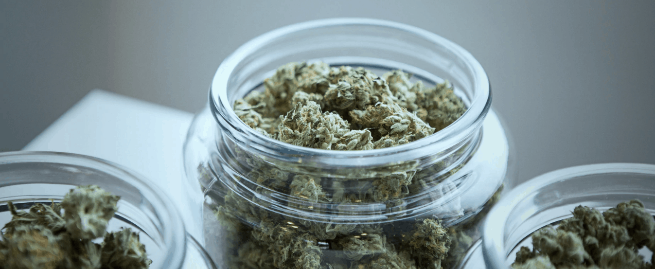 Get The Calm Leaf Coupon Codes Here CBD Superstore 